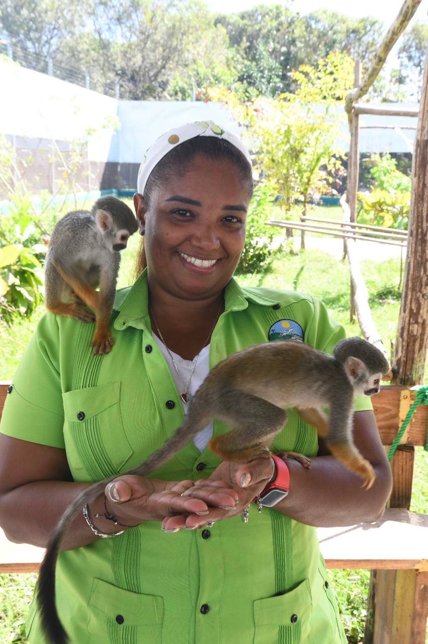 Damajagua Waterfalls & Monkey Land Combo | Puerto Plata
